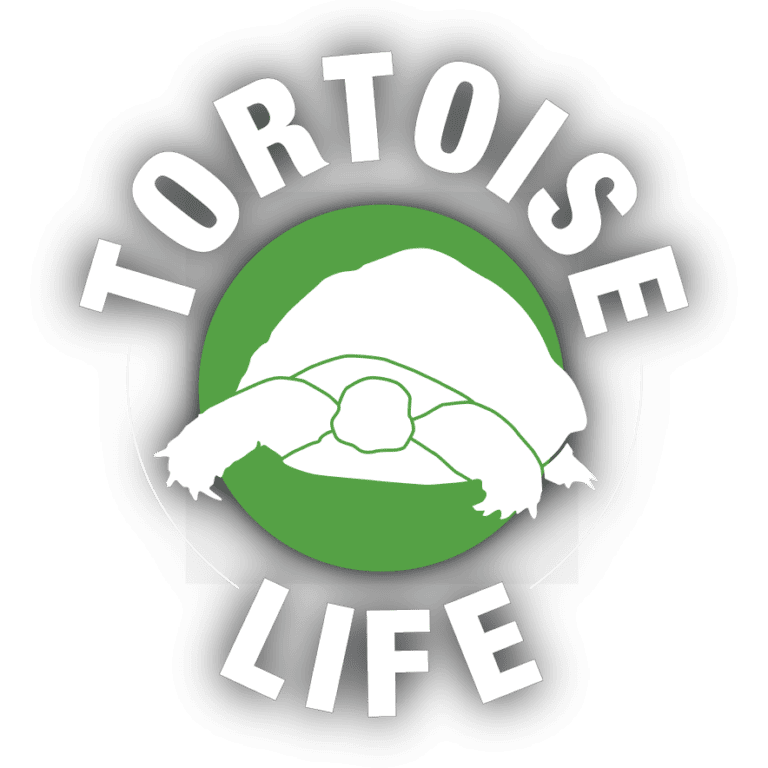 BULK Tortoise Life Substrate (25 Kg) – PROREP