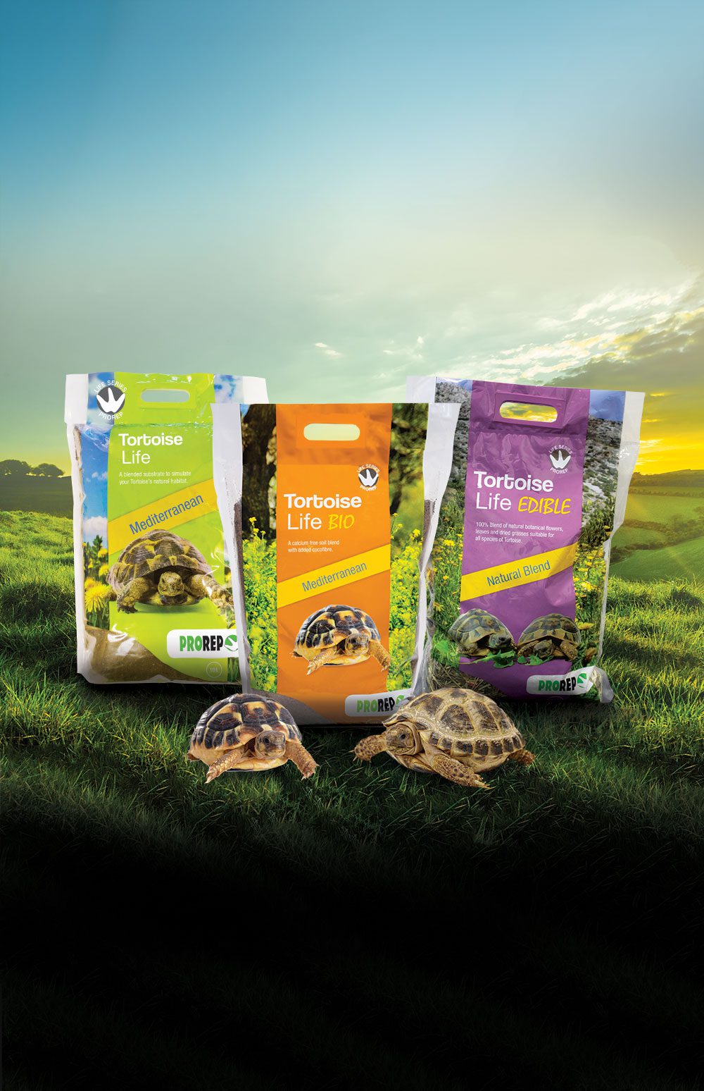 Tortoise Life – PROREP